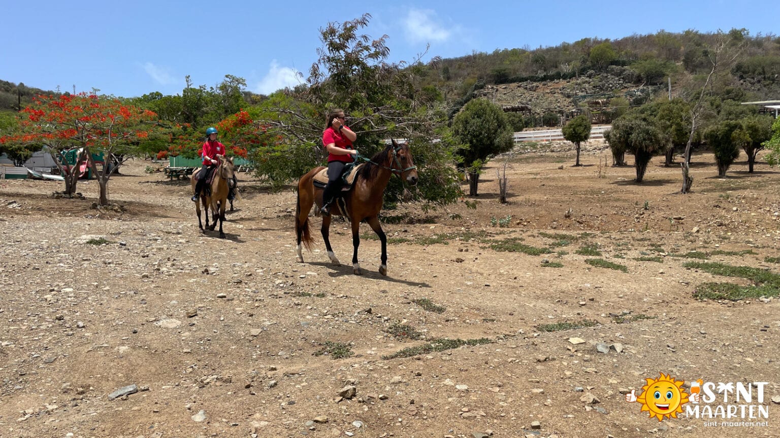 15 Best Day Trips in St. Maarten: Tours & Excursions