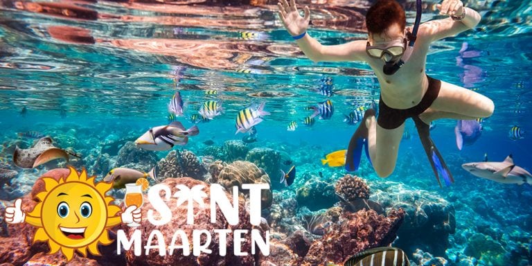 What Are the Best Snorkeling Spots in St. Martin?